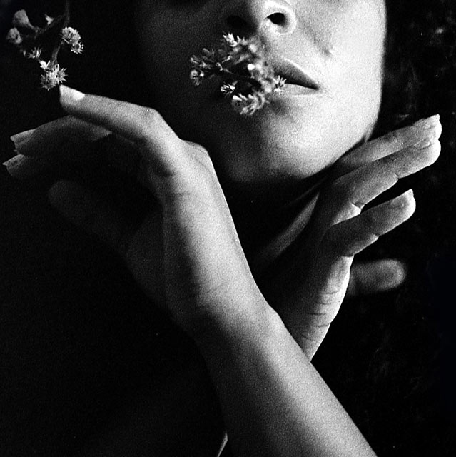 Collage - Moving Digital